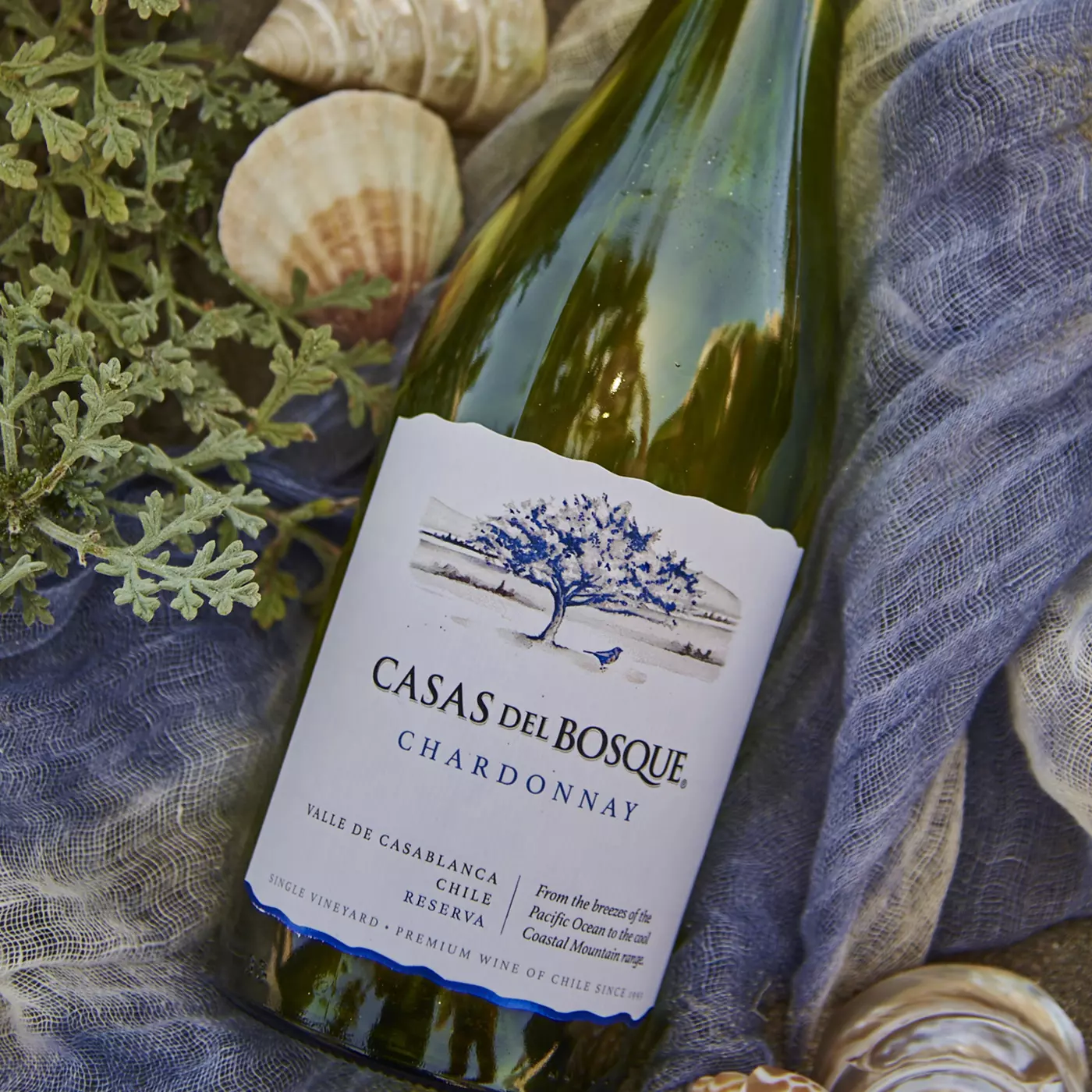 Chardonnay